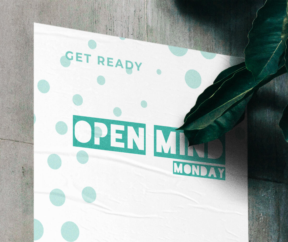 Open Mind Monday